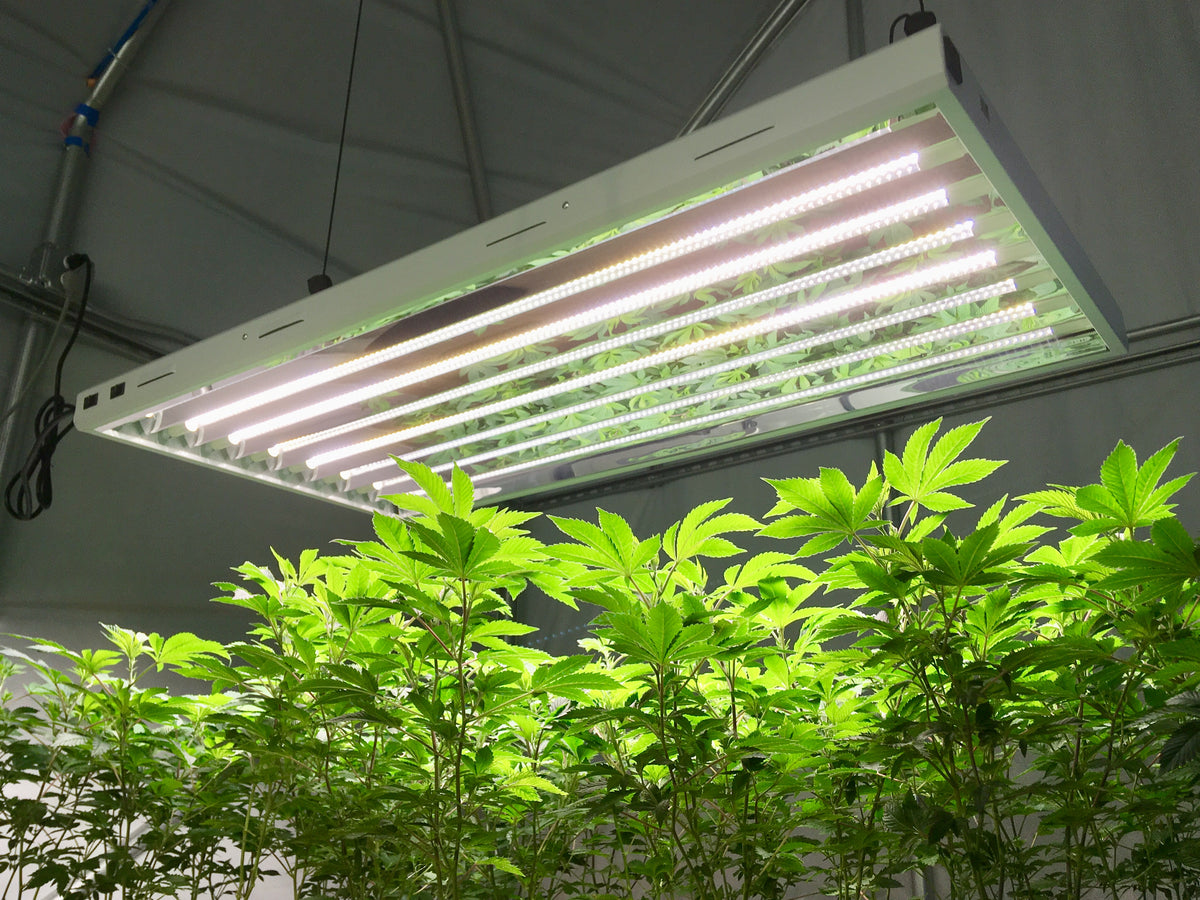 Active Grow Spectrum Guide